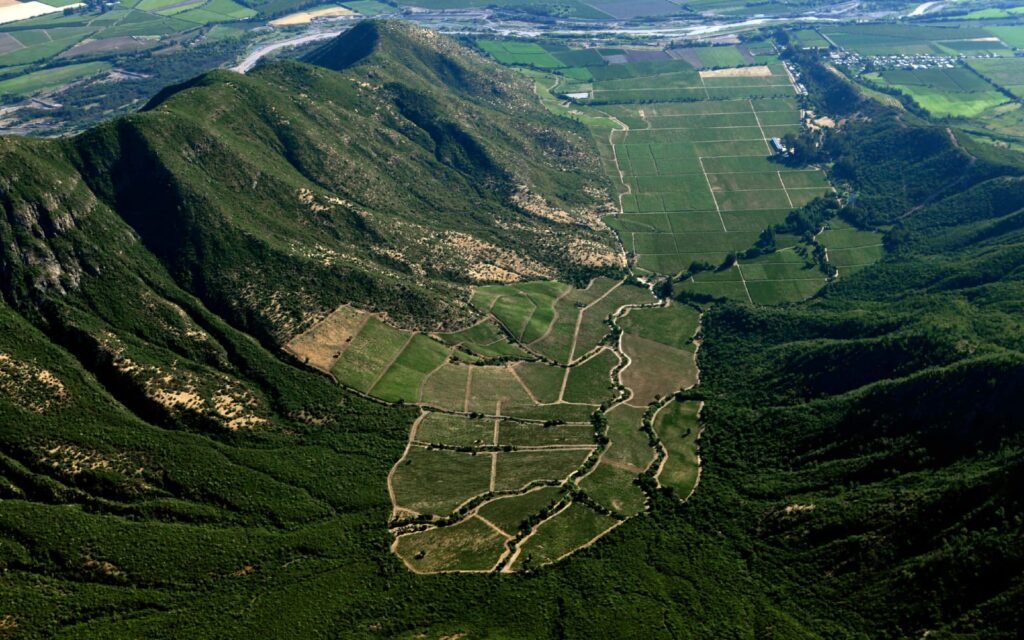 Neyen de Apalta, entre los 50 mejores del mundo para visitar